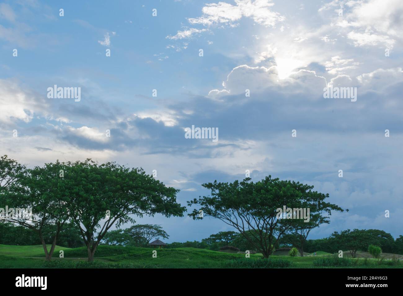 Silver lining cloud and trees Stock Photo - Alamy
