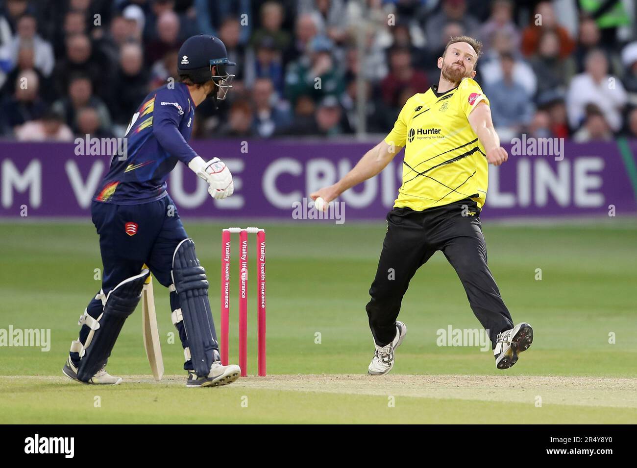 Cricket lamb hi-res stock photography and images - Alamy