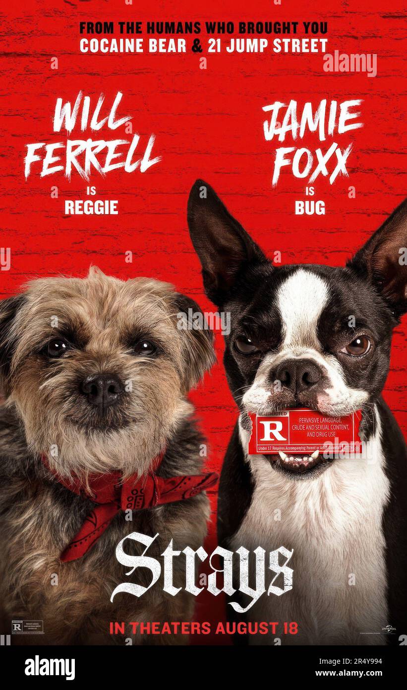 STRAYS, US poster, from left: Reggie (voice: Will Ferrell), Bug (voice ...