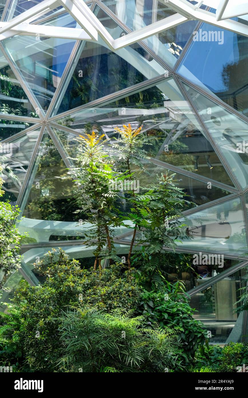 Triangular window panels in modern structure in Seattle, WA Stock Photo ...