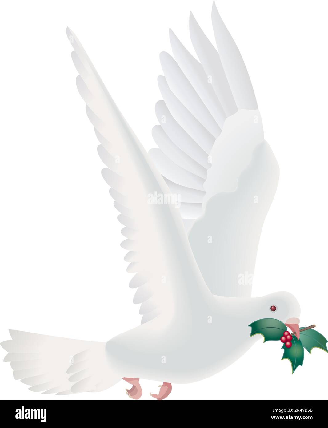 Holly on white sprig Stock Vector Images - Alamy