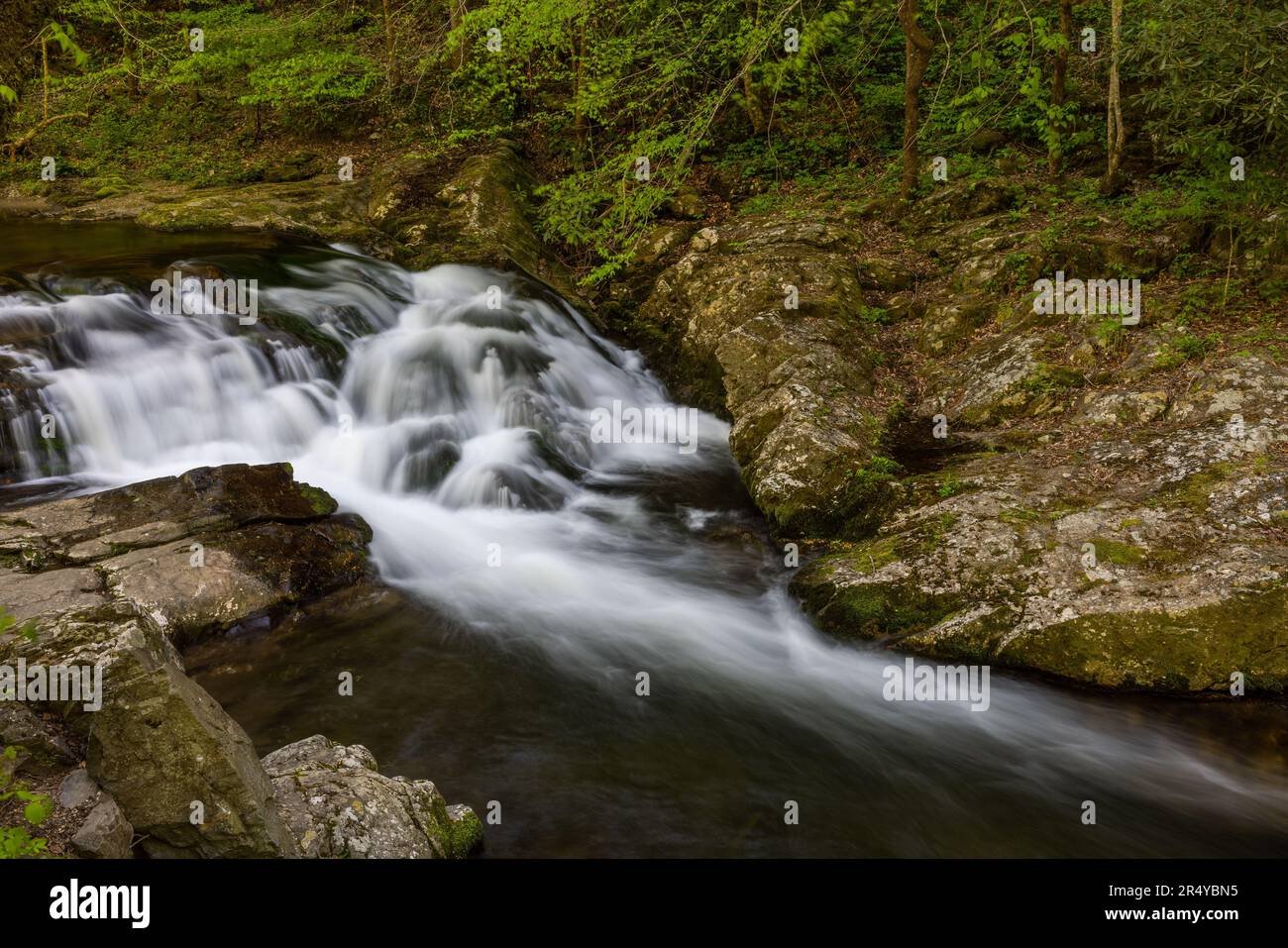 West Prong Little River along Laurel Creek Road, Great Smoky Mountains ...