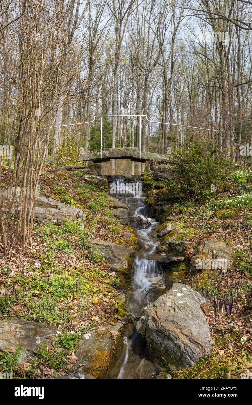 Cascading stream and bridge in springtime, Mt Cuba Center, Delaware ...