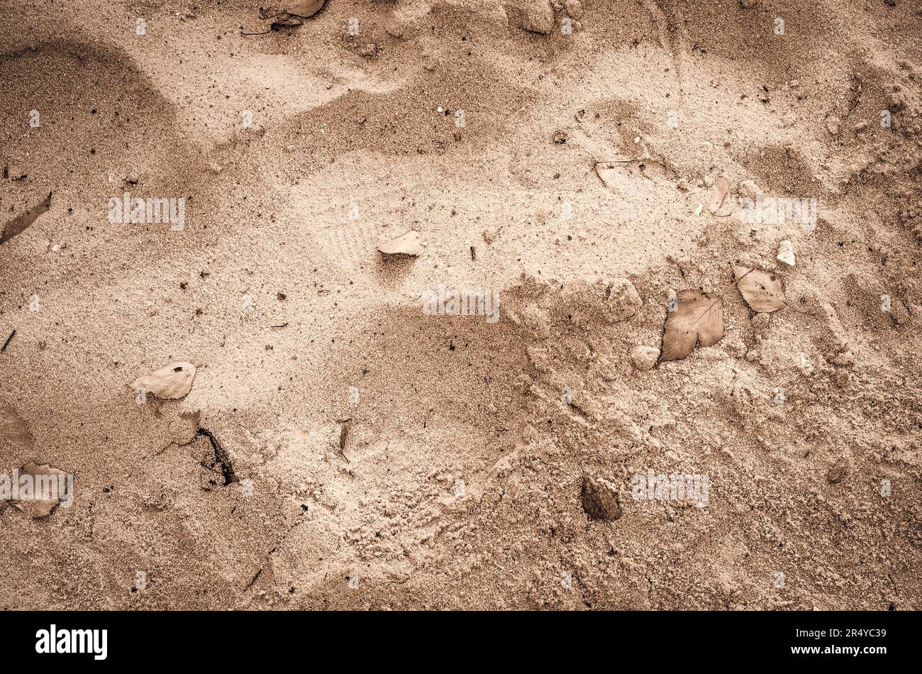 Sand bright background. Texture of bright sand Stock Photo - Alamy