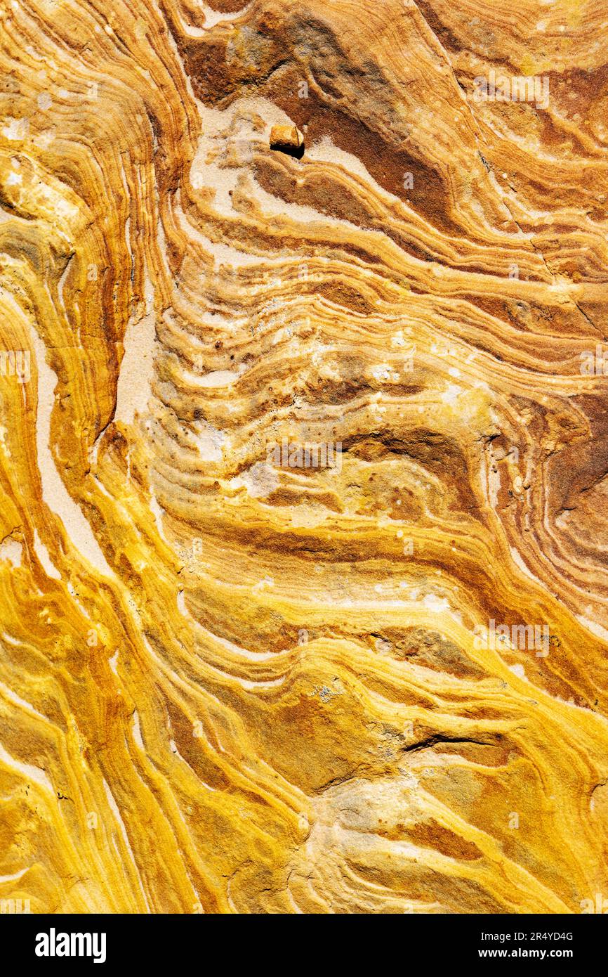 Patterns in sandstone sculpted by erosion; Capital Gorge Trail; Capital ...