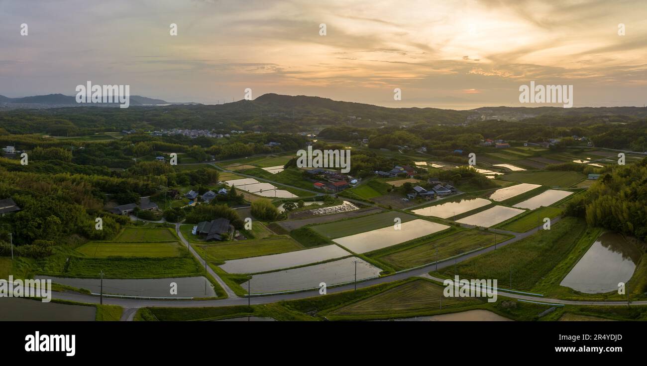 Flooded rice fields in traditional farming village in green landscape ...
