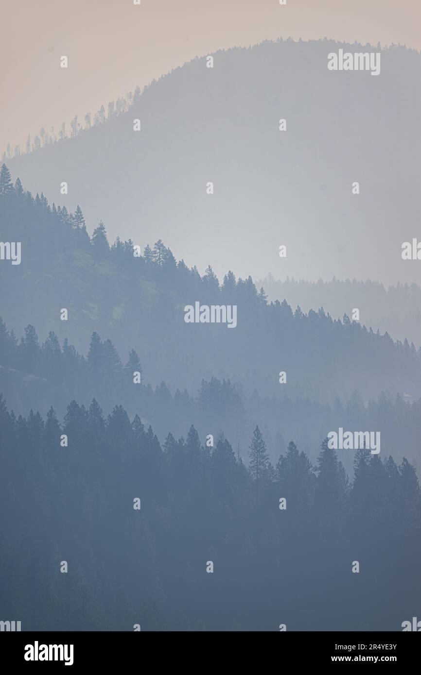 Landscape in Central Idaho in Spring Stock Photo - Alamy