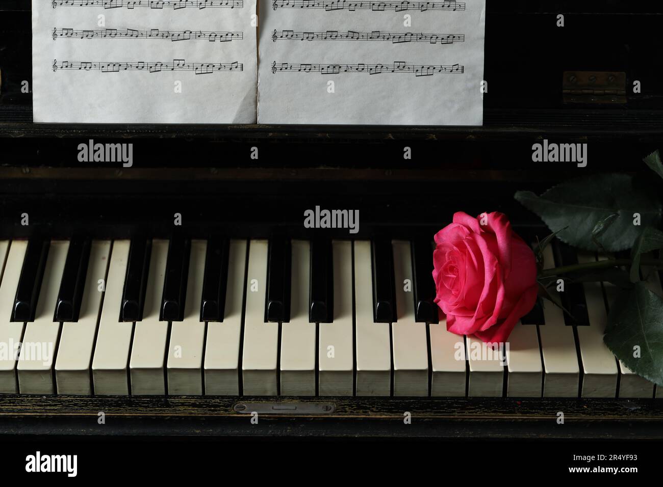 Rose music notes romantic hi-res stock photography and images - Alamy