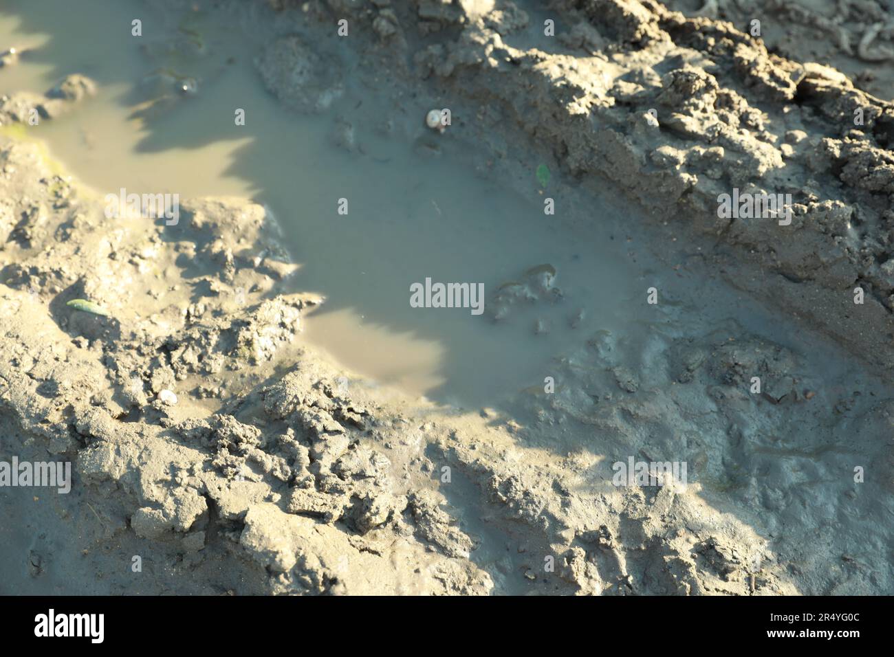 View of textured ground mud outdoors on sunny day Stock Photo - Alamy