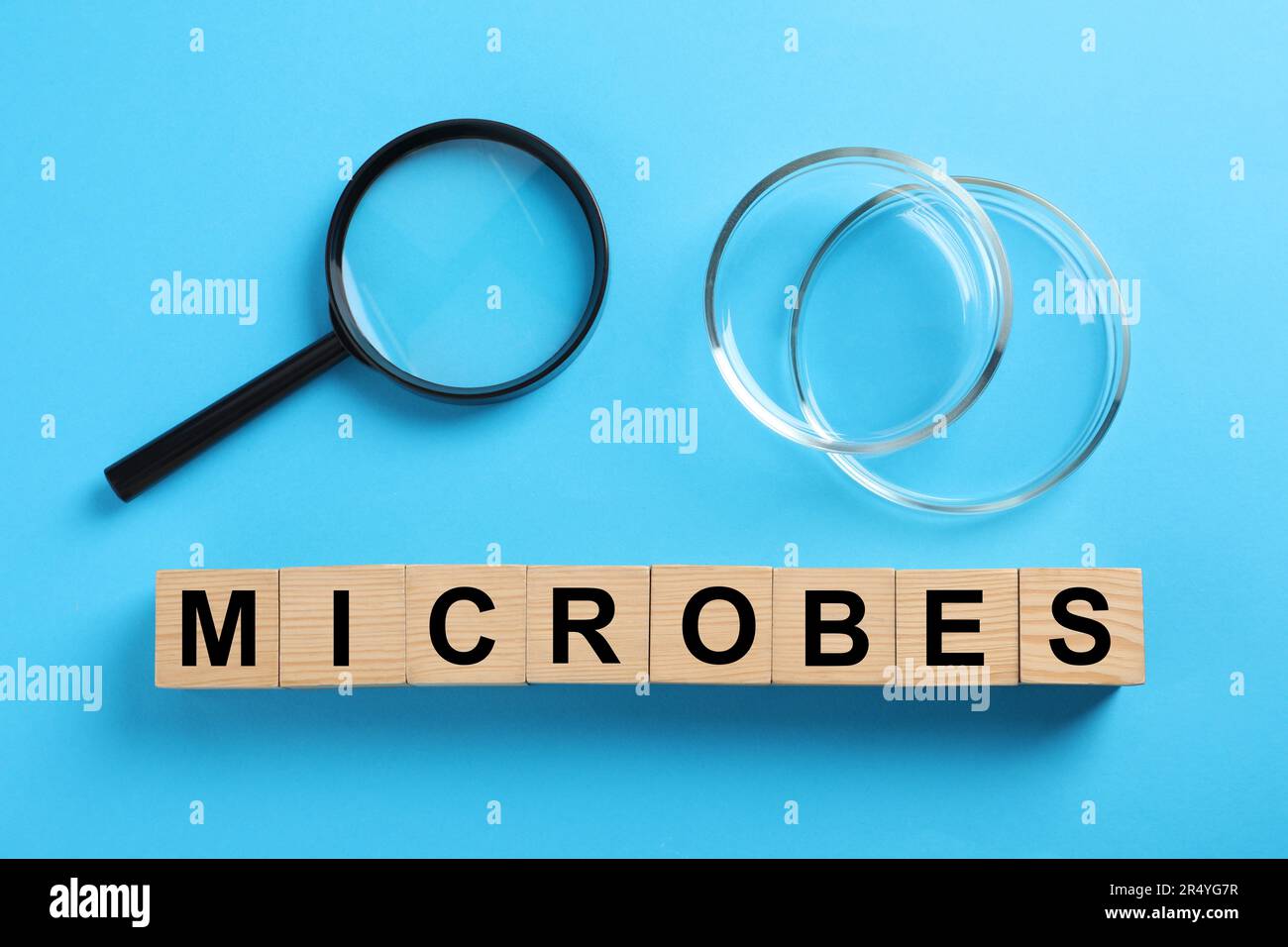 Word Microbes made with wooden cubes, magnifying glass and Petri dishes ...