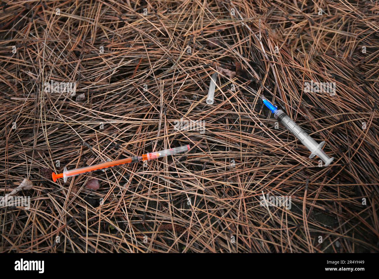 Disposable syringes with needles on heap of dry branches Stock Photo ...