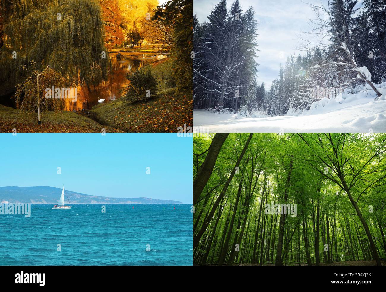 Four seasons. Collage design with beautiful photos of nature Stock ...
