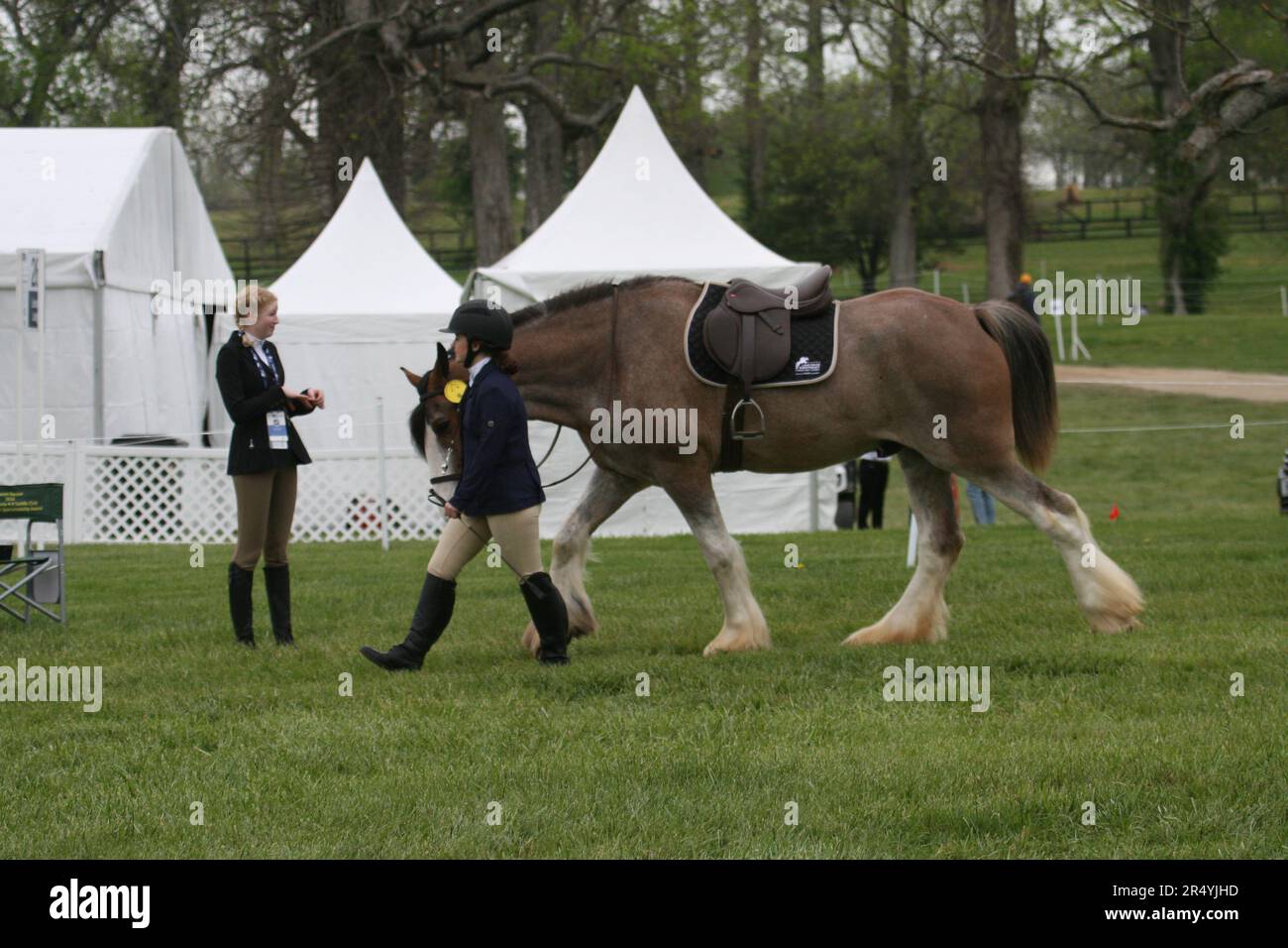 Land Rover Three Day Event 2023 at Kentucky Horse Park in Lexington ...