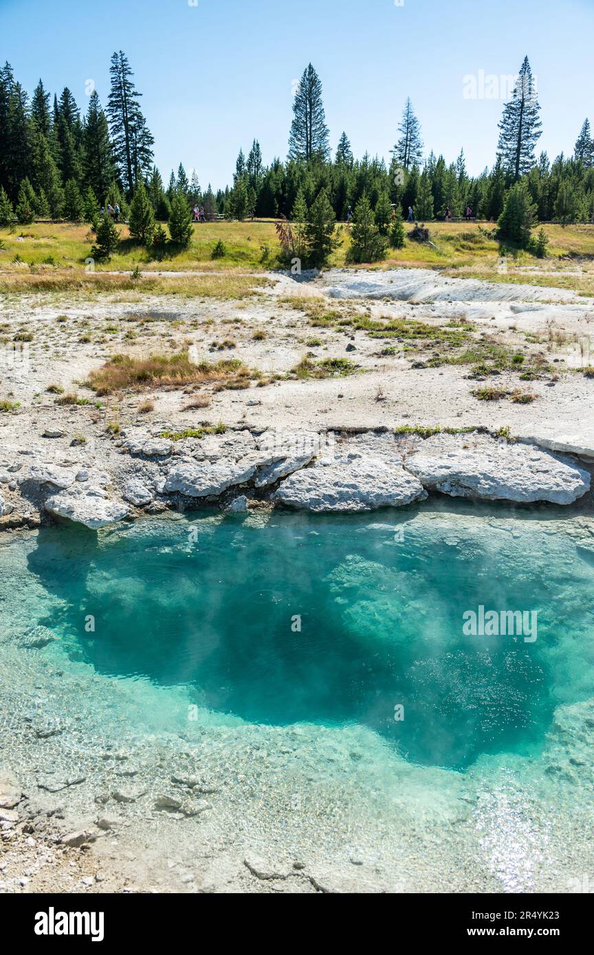 Steaming Blue Thermal Pool In West Thumb Geyser Basin in Yellowstone ...