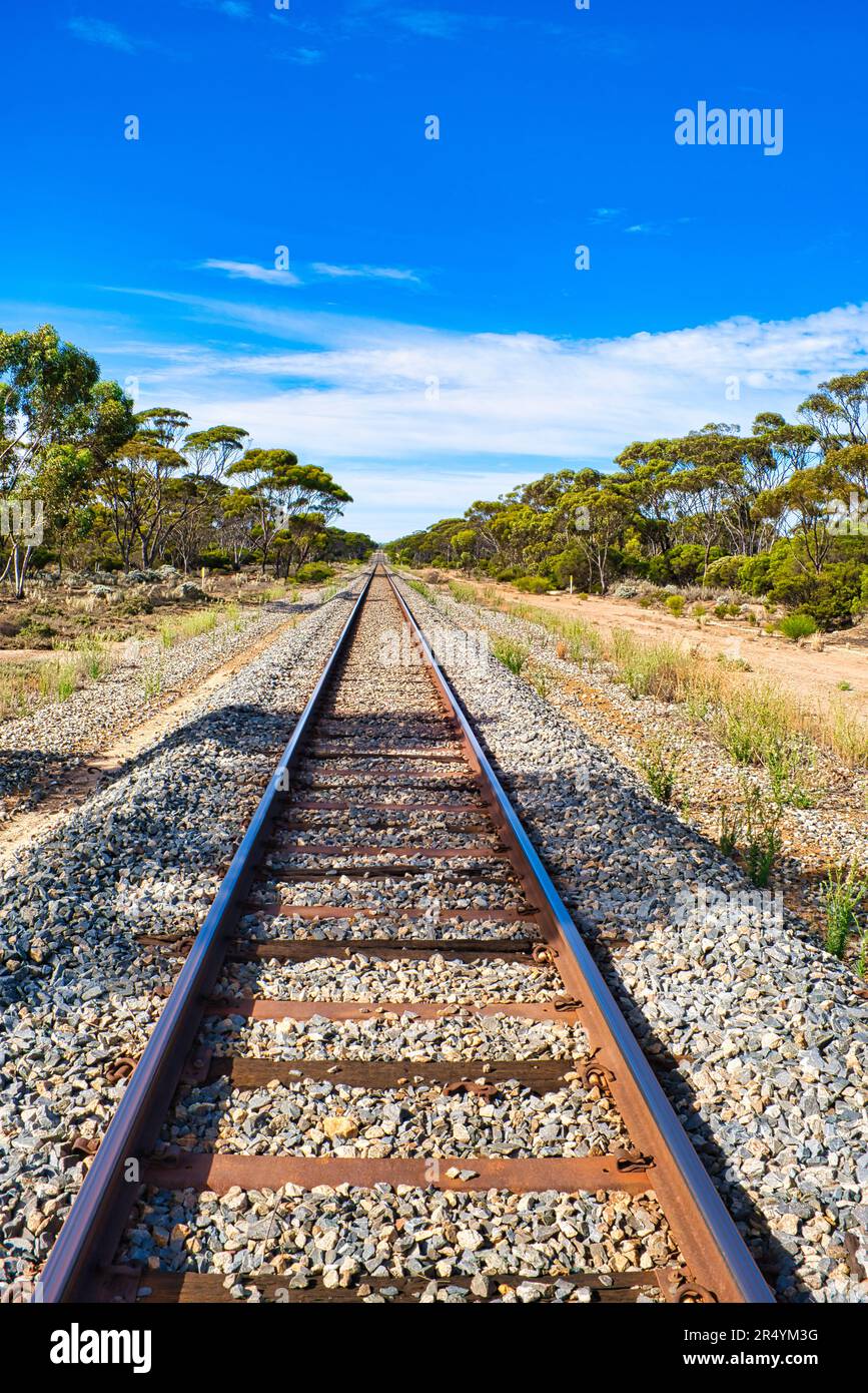 Straight railroad line in the Australian outback, between Esperance and ...