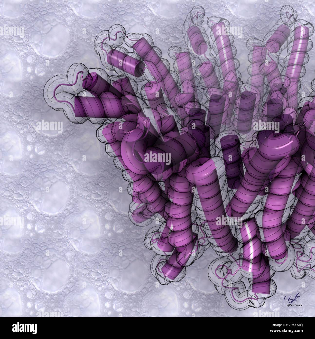 Illustration of the calcium homeostasis modulator 1 (CALHM1) channel in ...