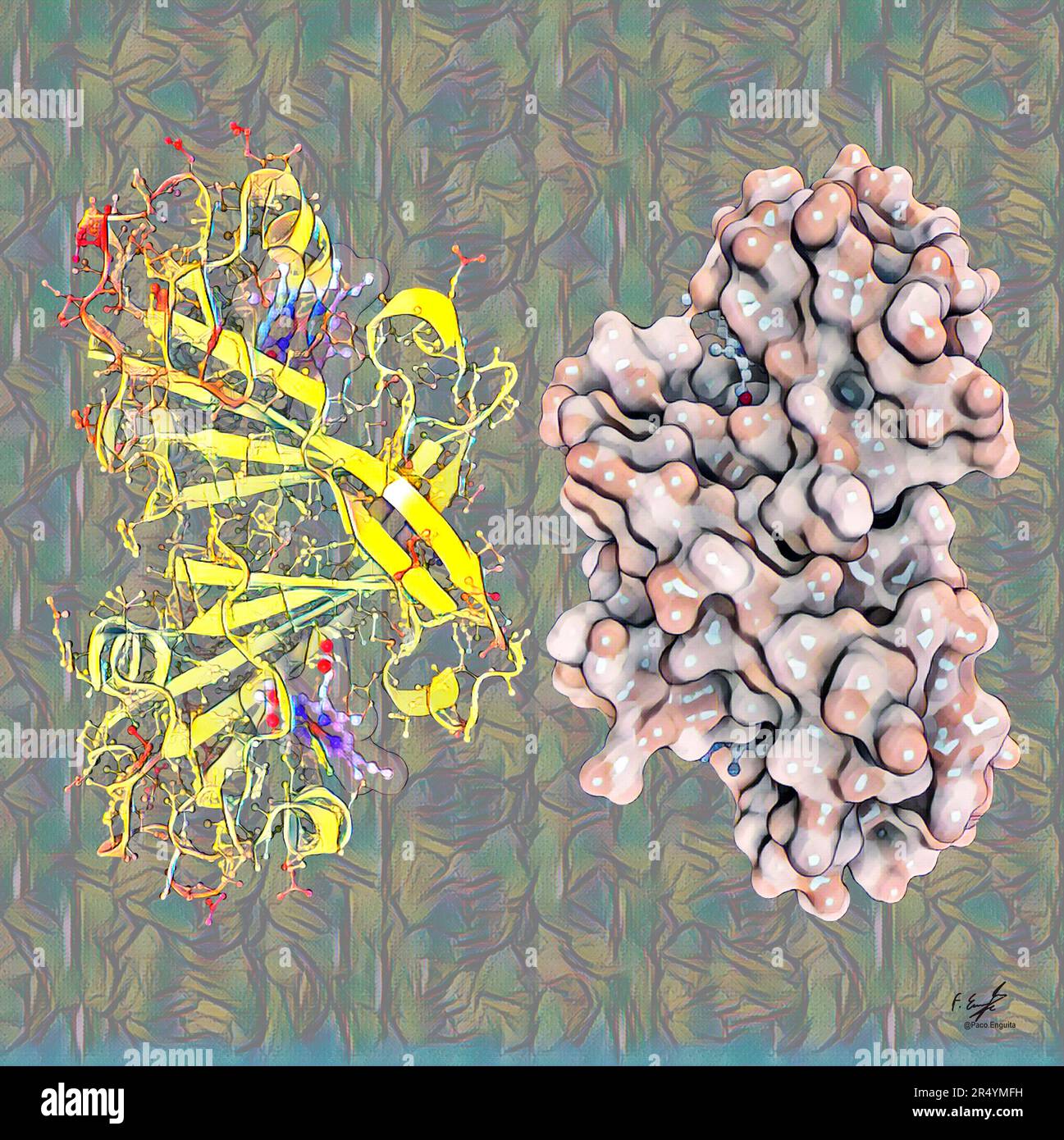 Illustration of cytochrome c prime proteins from the thermophilic ...