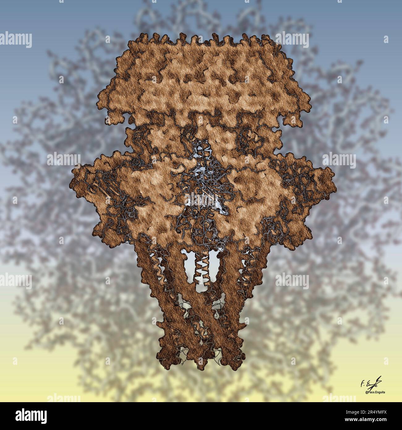 Illustration of the portal-adaptor complex from the cyanophage Pam1 ...