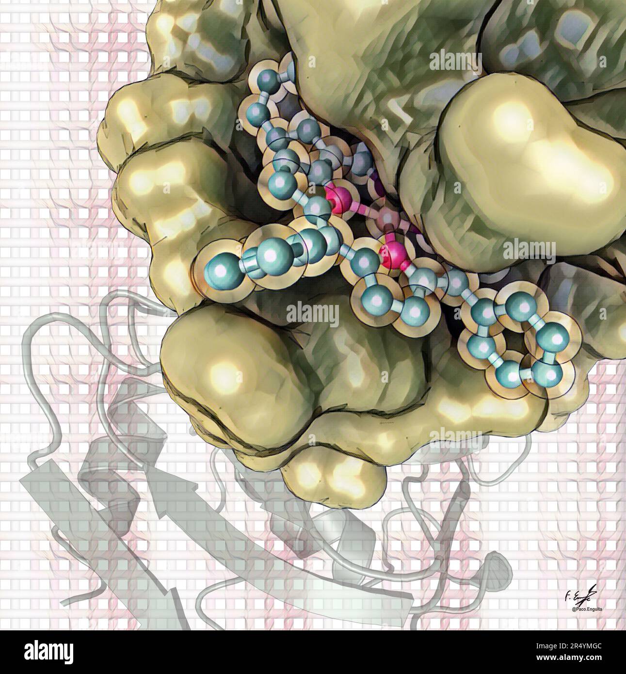 Illustration of the haemophore protein HasAp from the bacterium ...