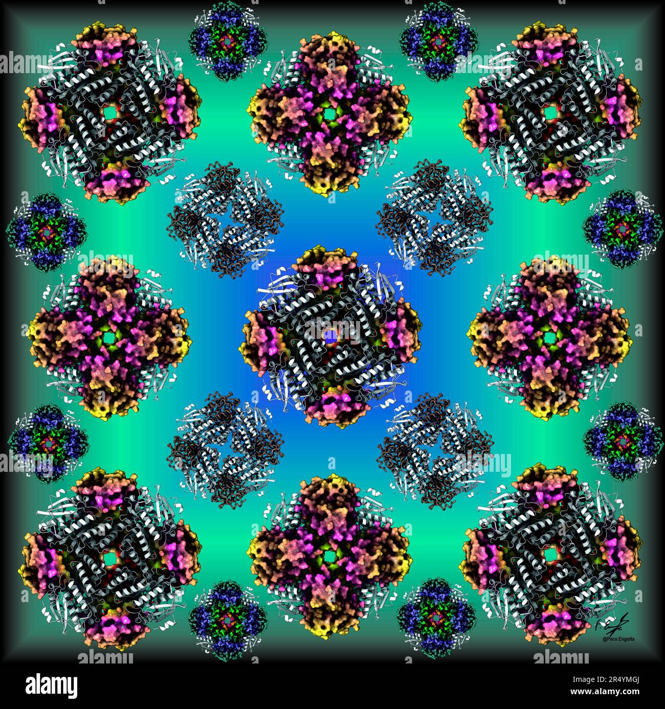 Illustration of mandelate racemase molecules from the bacterium ...