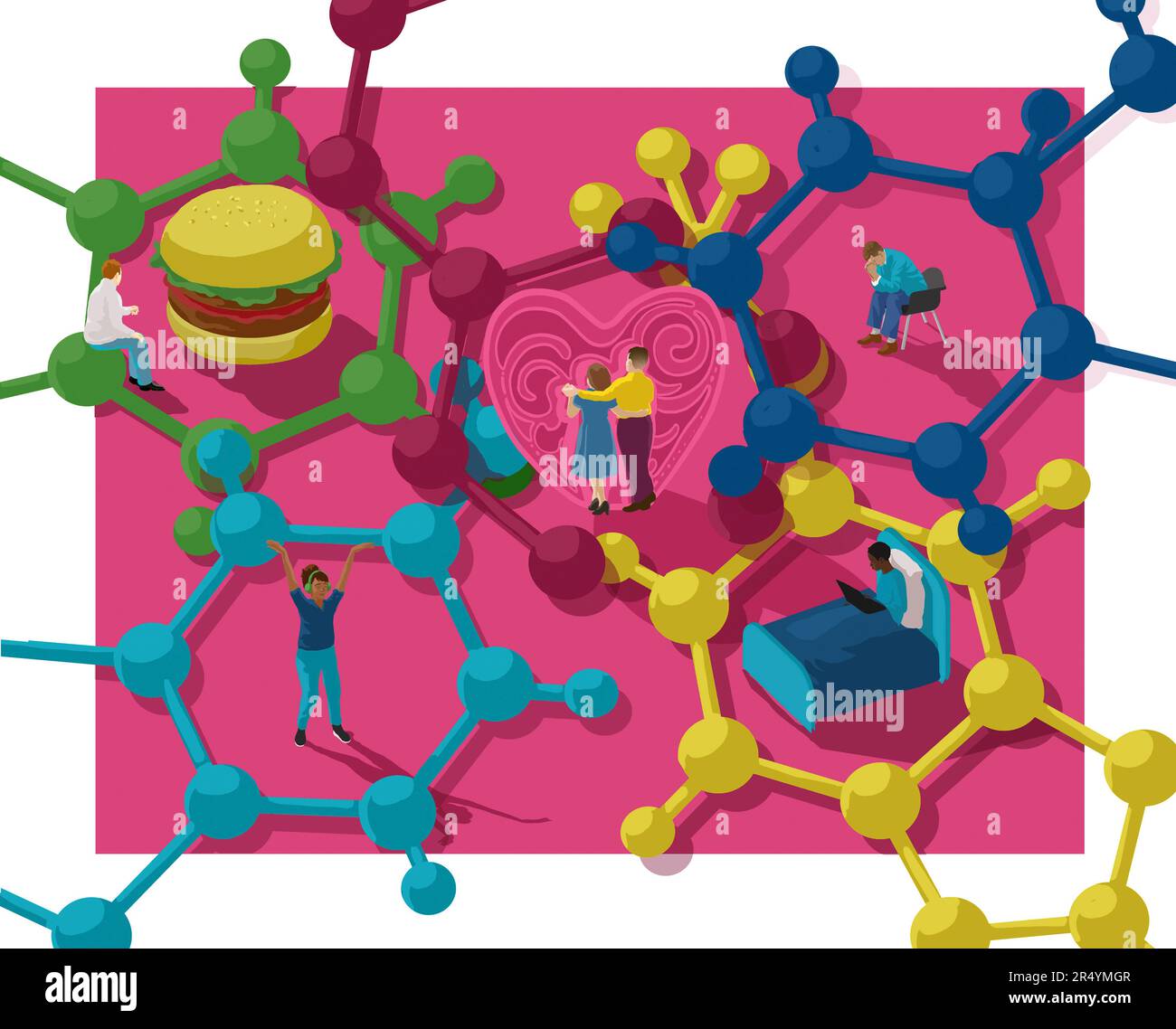 Conceptual illustration showing the various effects of hormones on ...