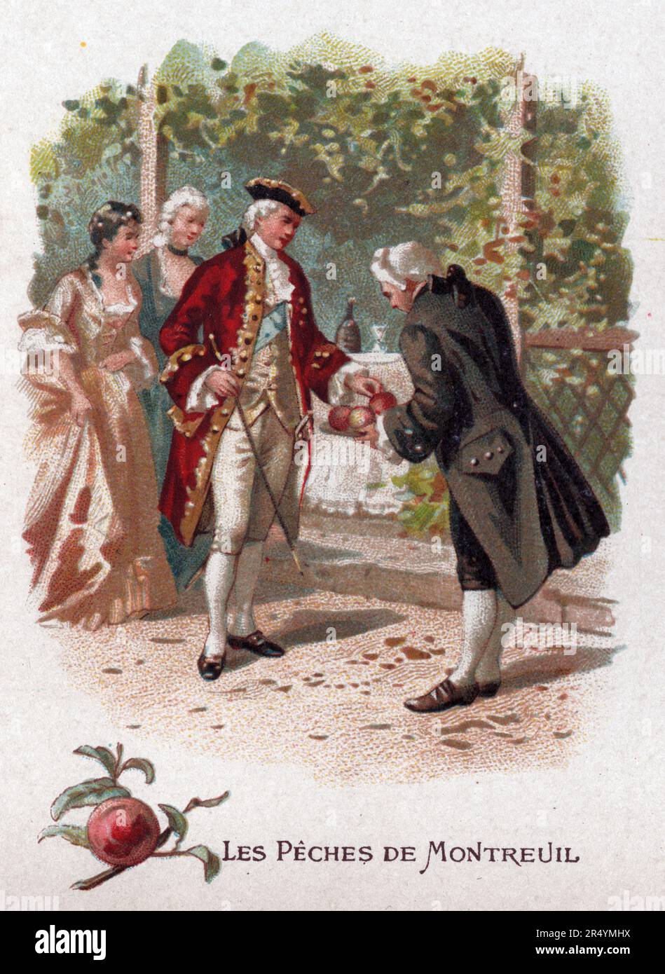 Peaches of Montreuil (wall bars peaches). King Louis XV of France ...