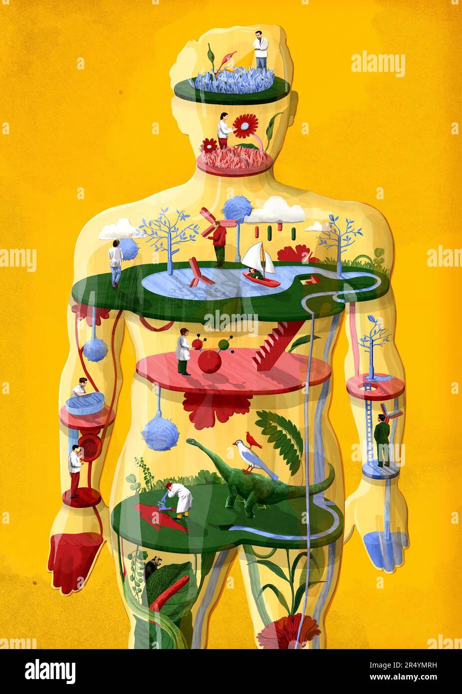 Conceptual illustration showing various biology related imagery within ...