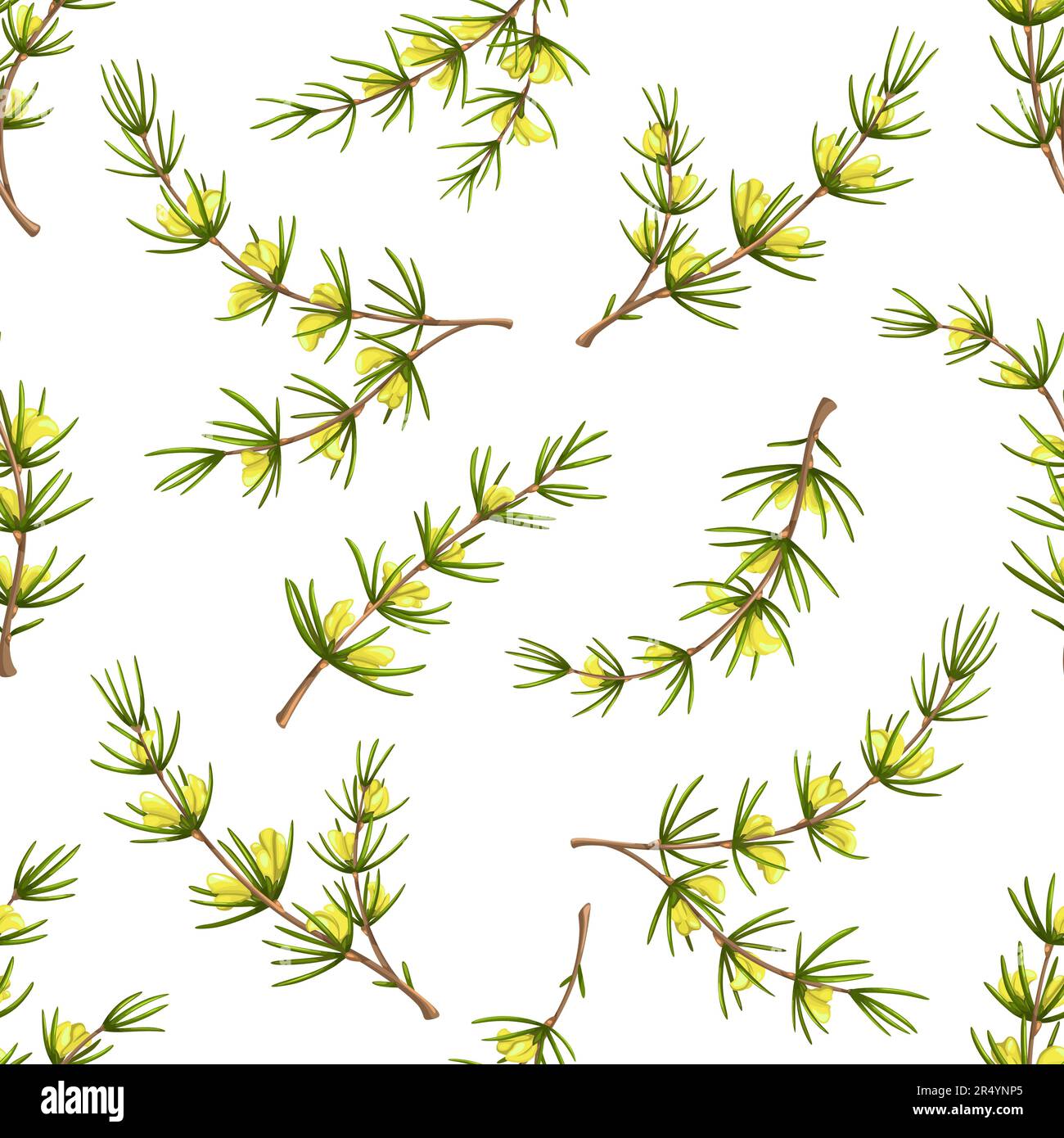 Cartoon rooibos plant with flowers, redbush seamless pattern, vector ...