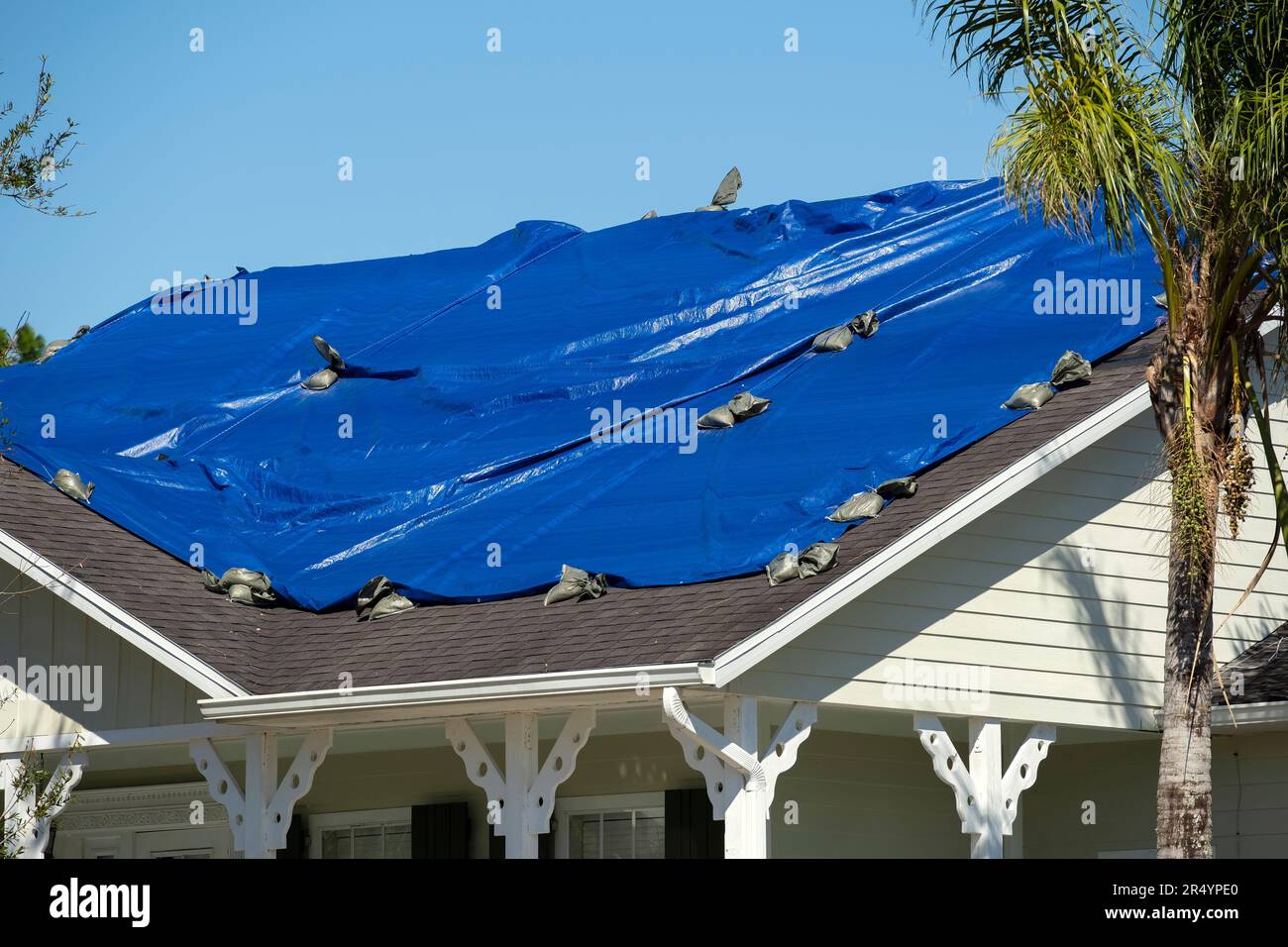 Damaged in hurricane Ian house roof covered with blue protective tarp ...