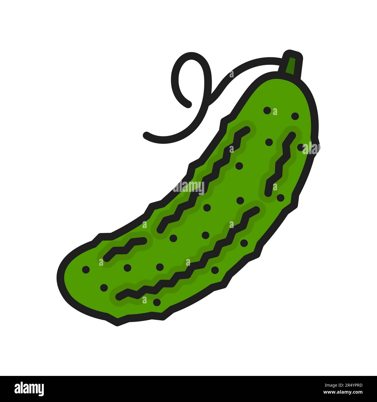 Gherkin growing Stock Vector Images - Alamy