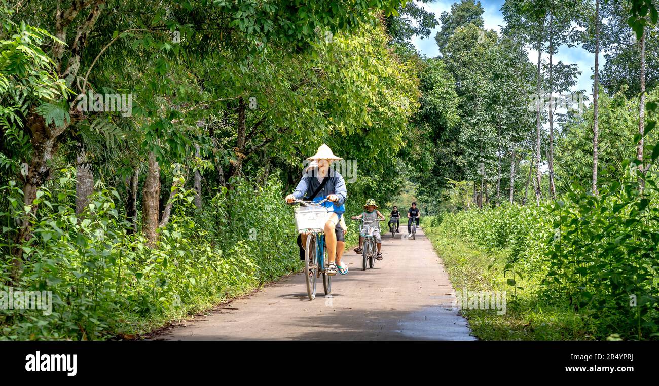 Tourists experience cycling in the rainforest to visit Nam Cat Tien ...