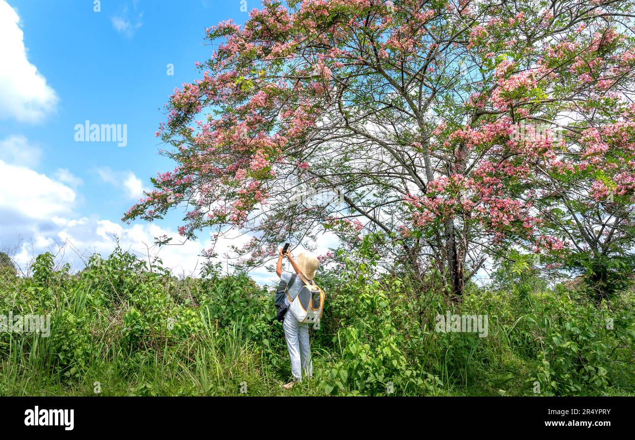 Nam Cat Tien National Park, Dong Nai Province, Vietnam - May 28, 2023 ...