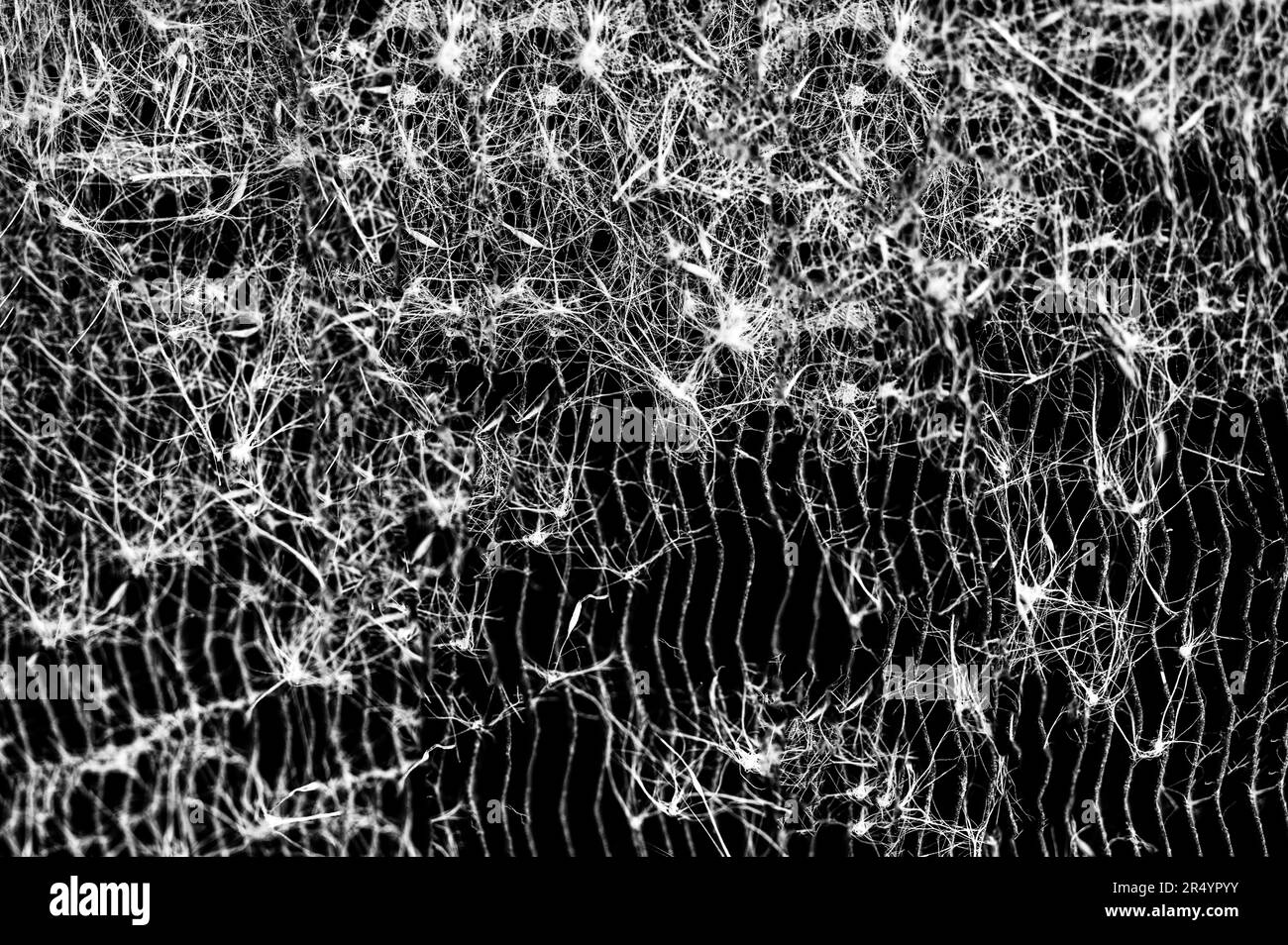 Macro of seed pods and dust collecting on the heat exchanger coils of ...