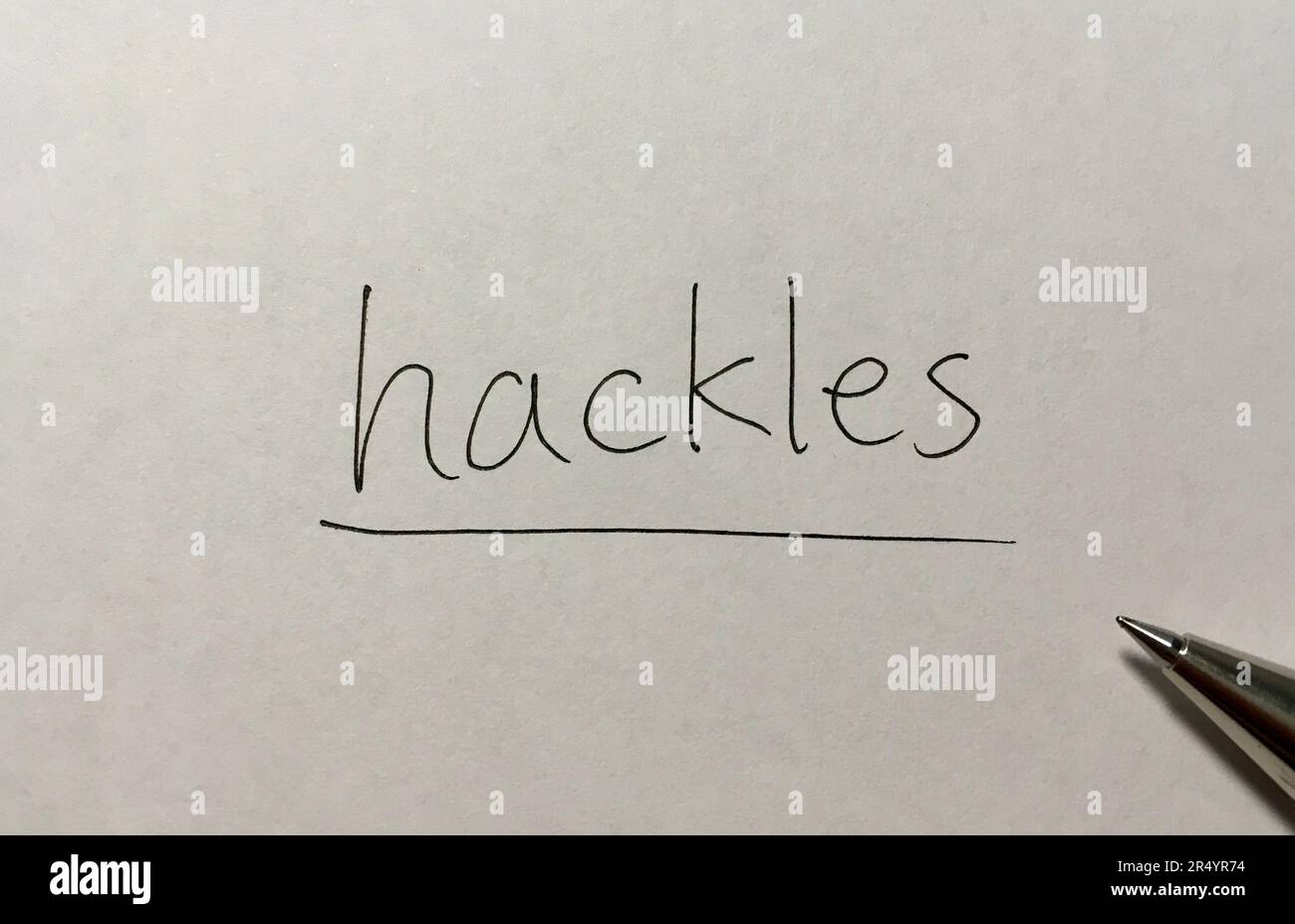 Hackles hi-res stock photography and images - Alamy