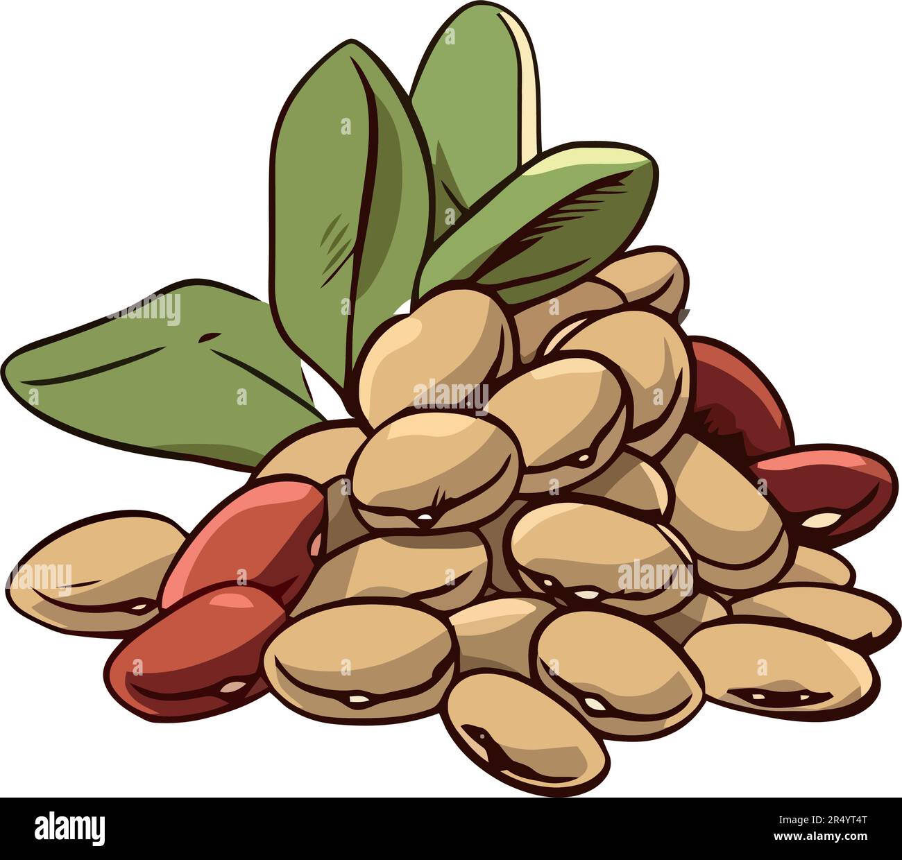 Fresh organic beans illustration Stock Vector Image & Art - Alamy