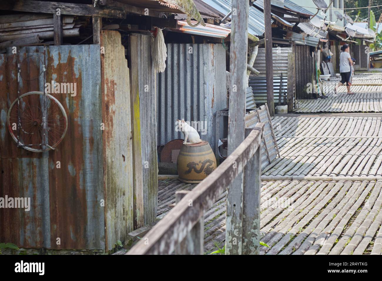 The traditional Annah Rais longhouse outside of Kuching, Sarawak ...