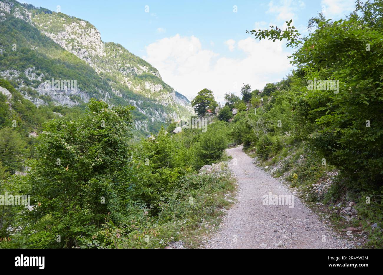 The scenic hike to Theth Waterfall and the Blue Eye spring in Theth ...