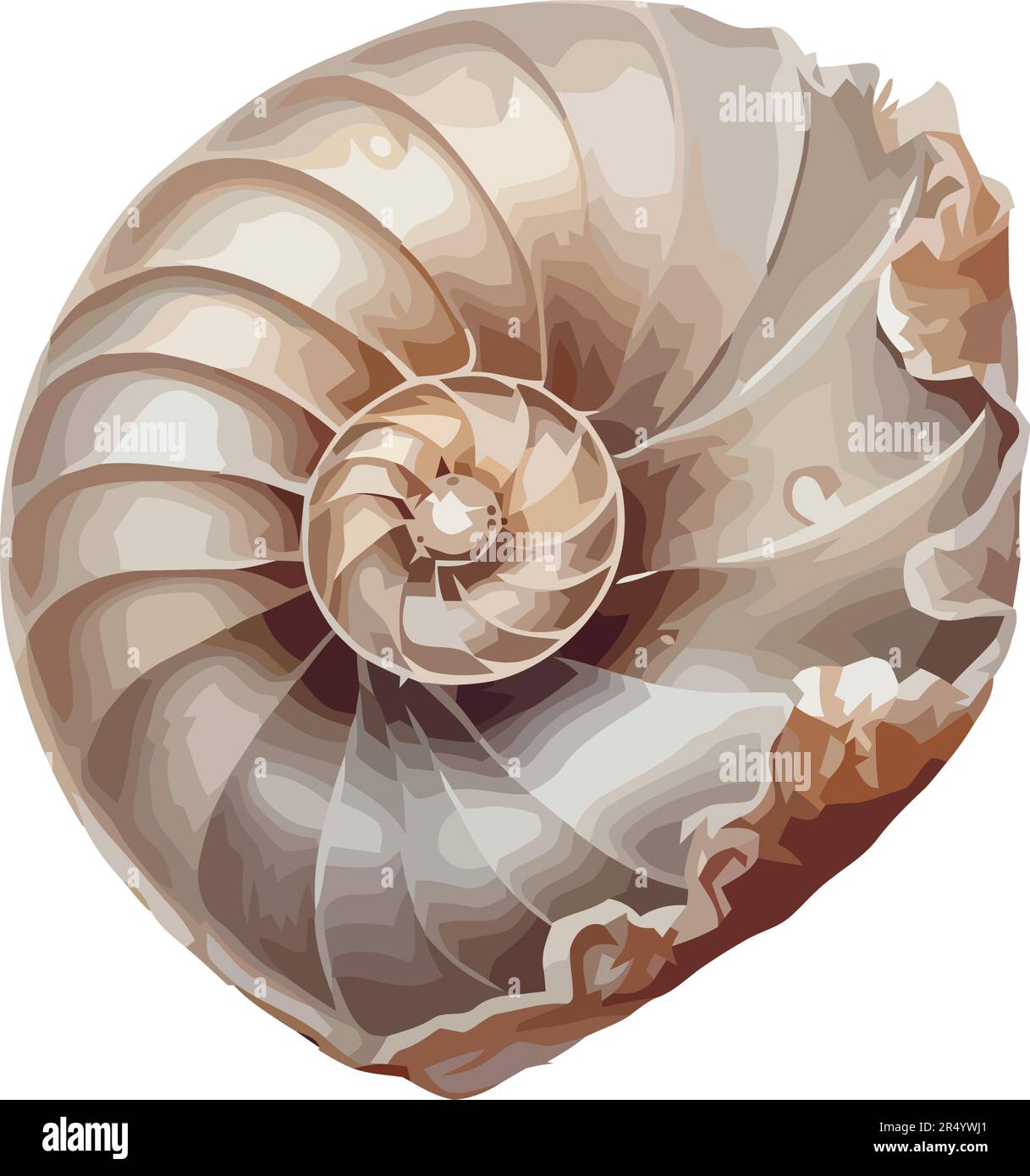 Seashell shapes Stock Vector Images - Alamy