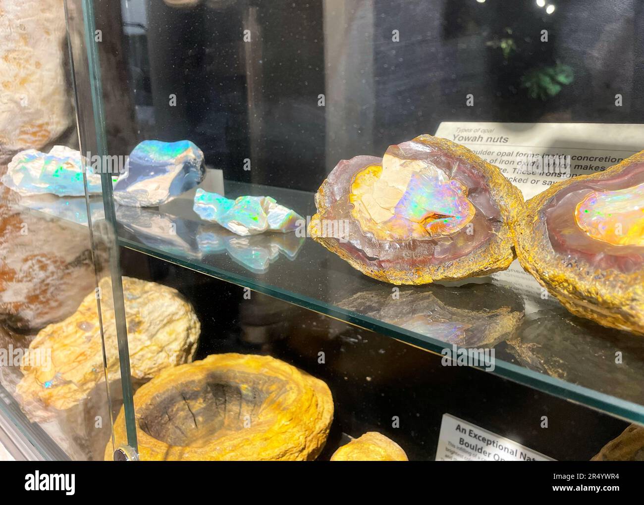 Fascinating collection hi-res stock photography and images - Alamy