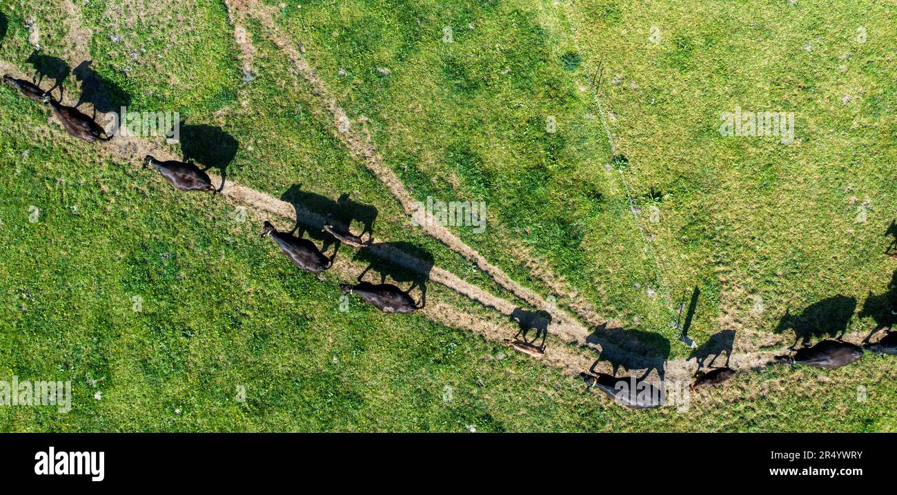 PRODUCTION - 25 May 2023, Mecklenburg-Western Pomerania, Groß Wokern ...