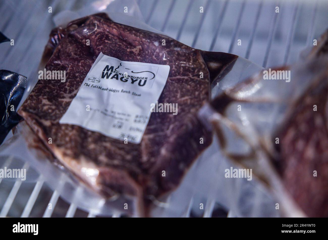 PRODUCTION - 25 May 2023, Mecklenburg-Western Pomerania, Groß Wokern: A ...