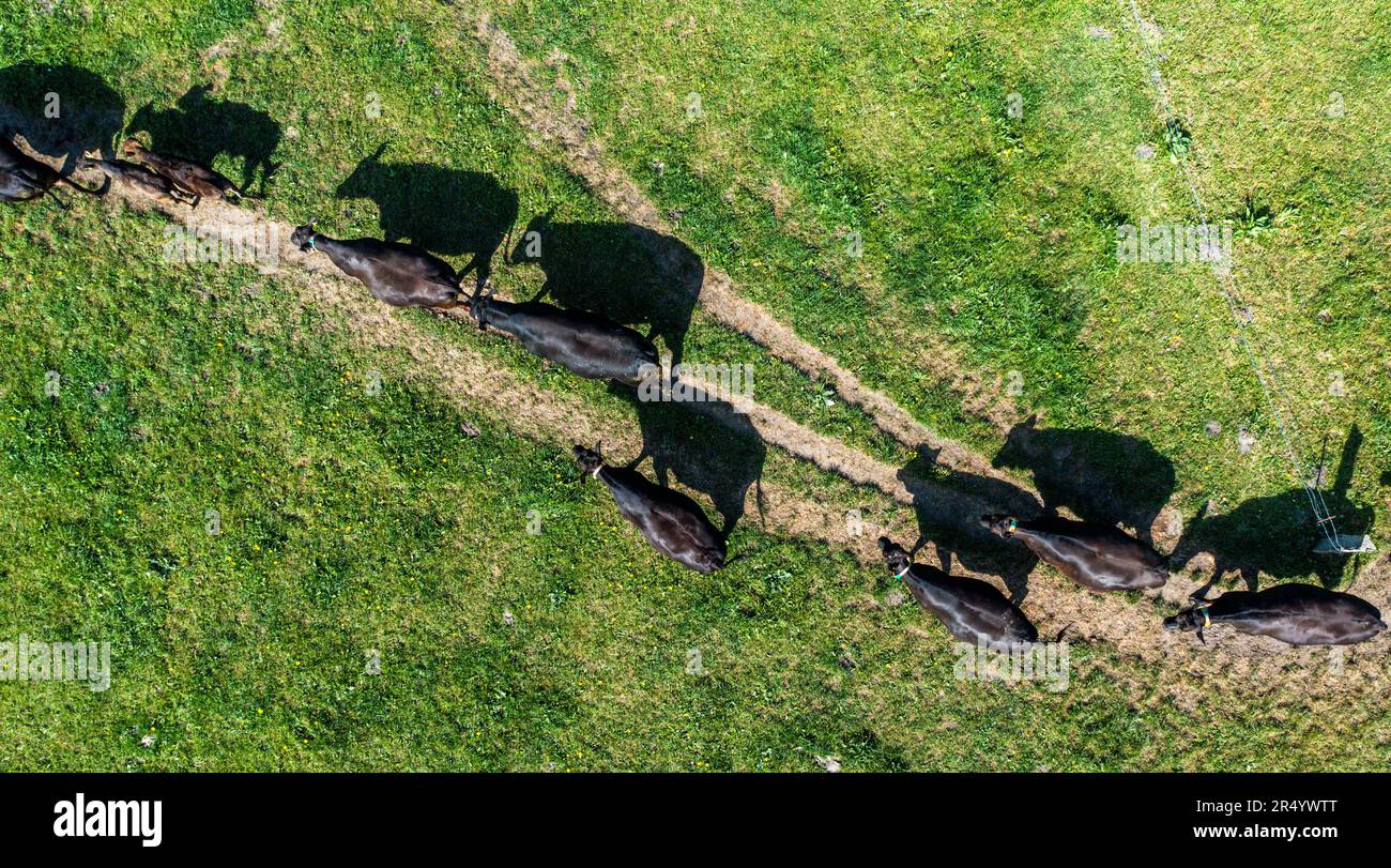 PRODUCTION - 25 May 2023, Mecklenburg-Western Pomerania, Groß Wokern ...