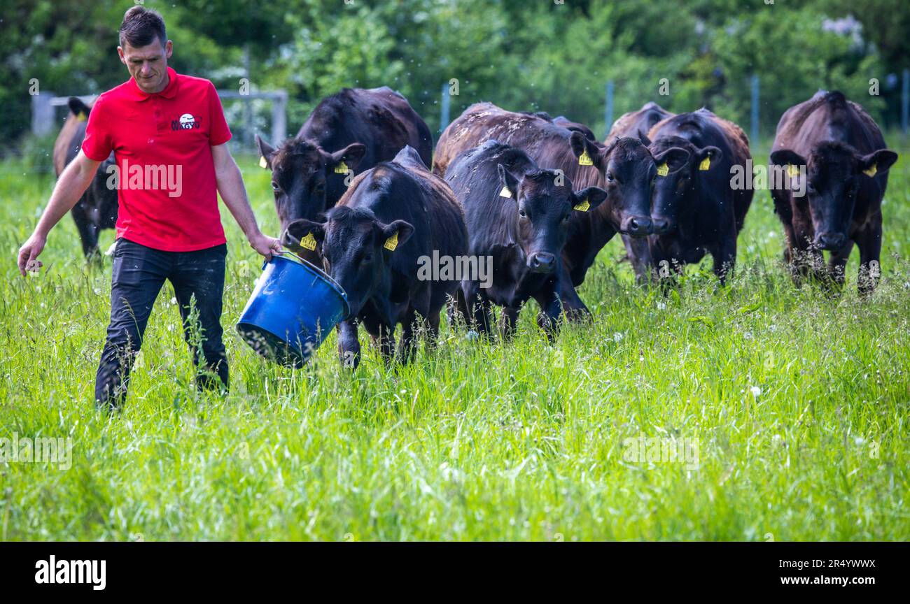 PRODUCTION - 25 May 2023, Mecklenburg-Western Pomerania, Groß Wokern ...