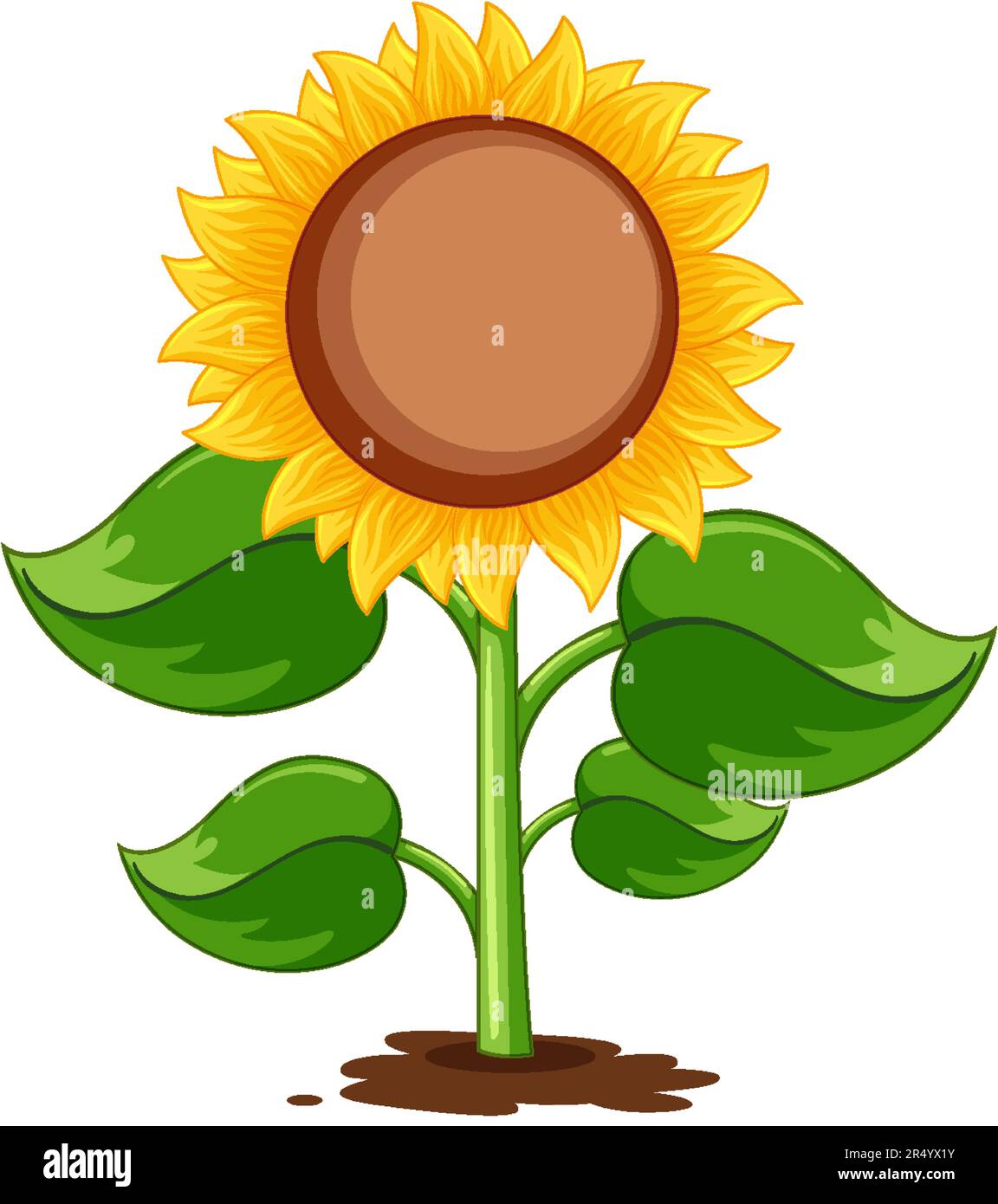 Sunflower plant cartoon isolated illustration Stock Vector Image & Art ...