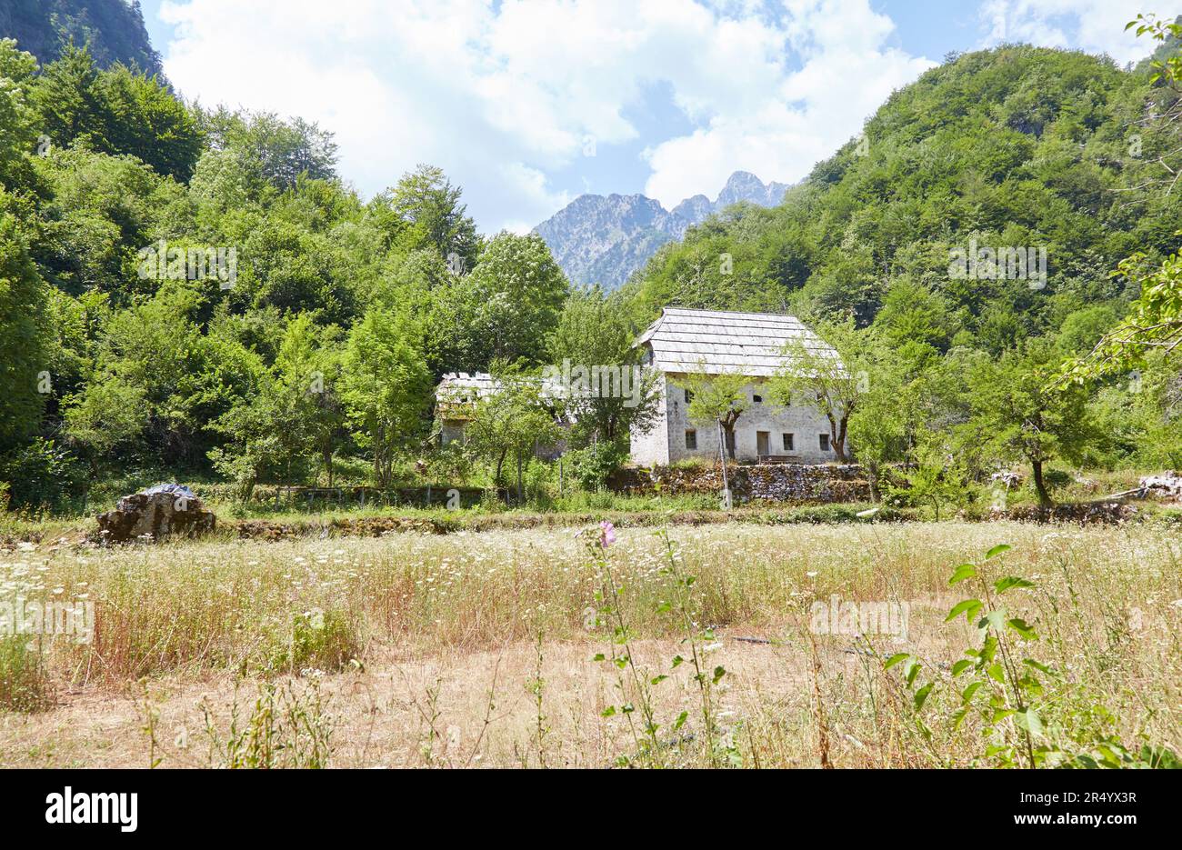 The scenic hike to Theth Waterfall and the Blue Eye spring in Theth ...