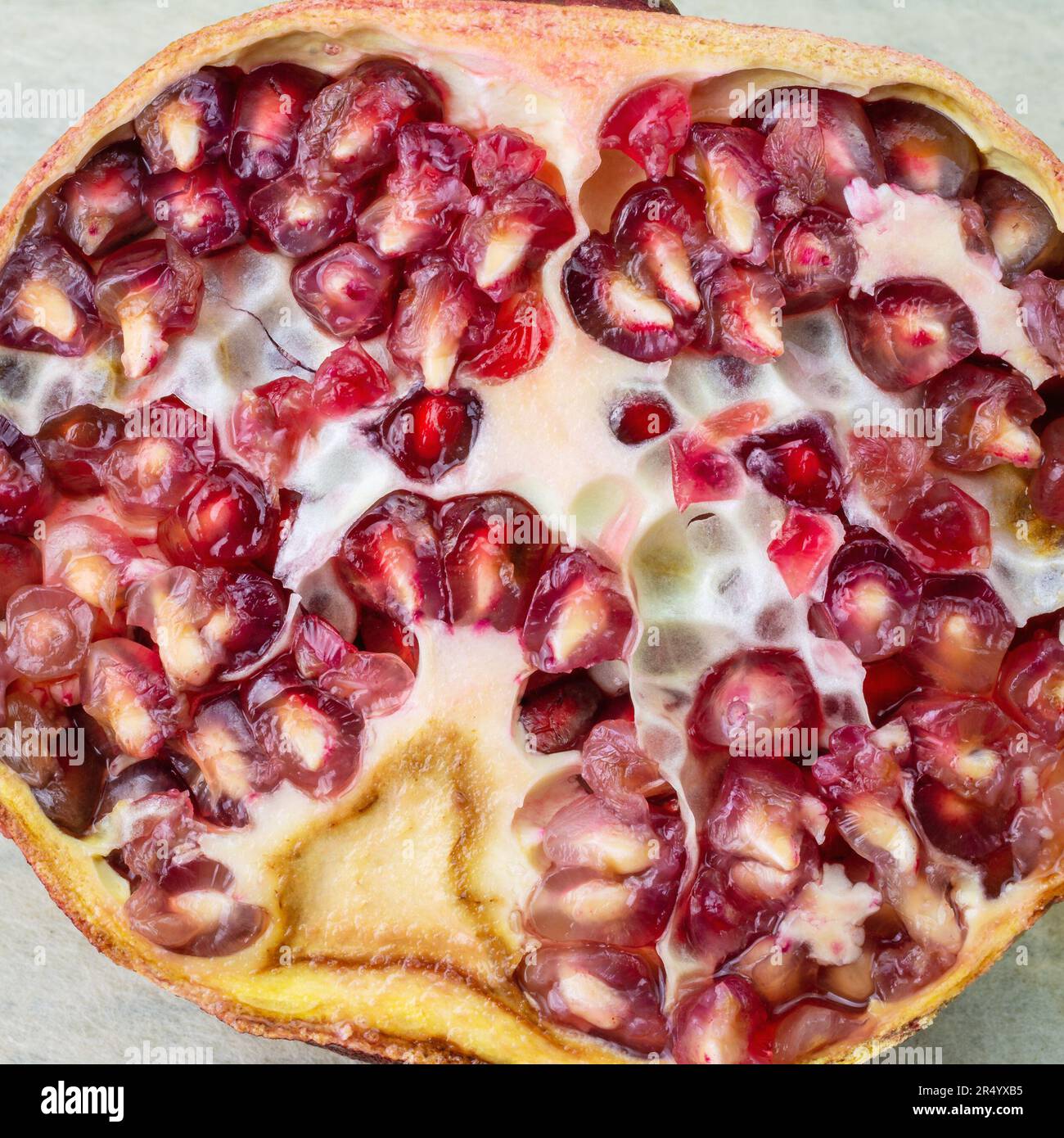 Punica granatum seed hi-res stock photography and images - Alamy