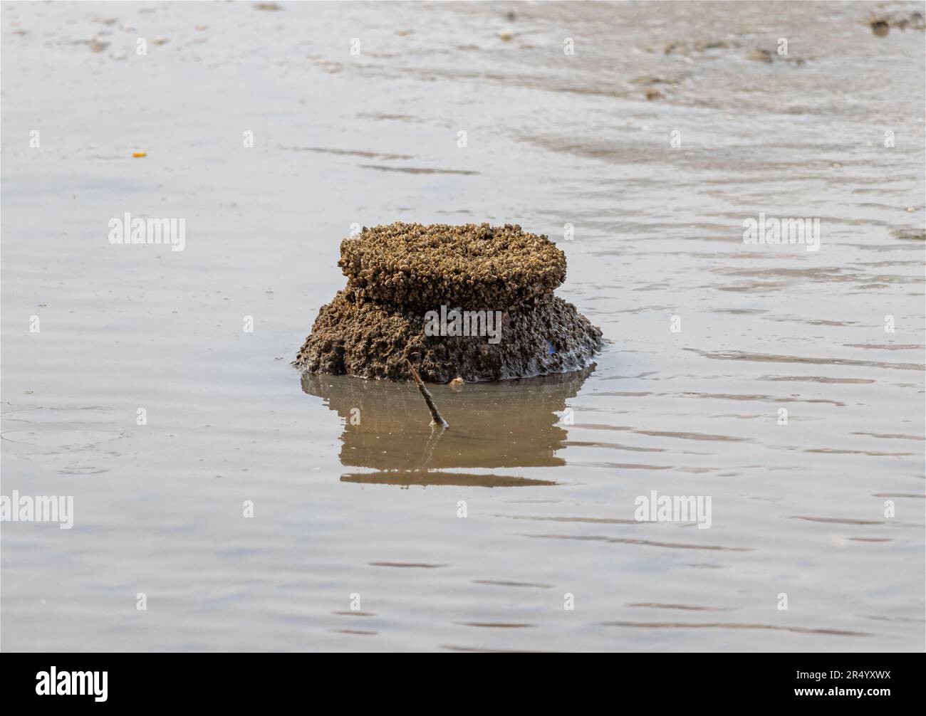 Antique water jug hi-res stock photography and images - Alamy
