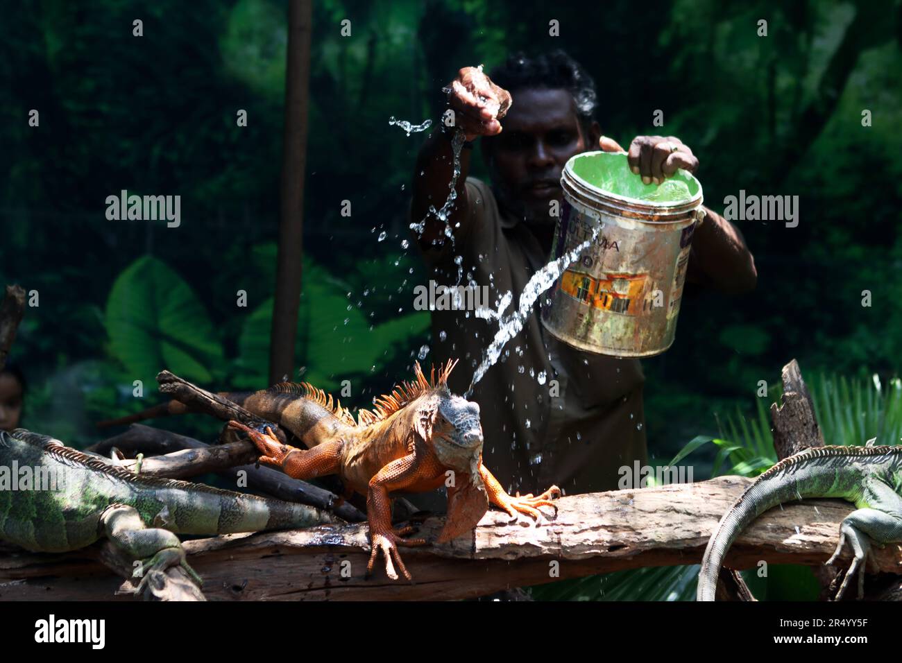 Chennai snake park hi-res stock photography and images - Alamy