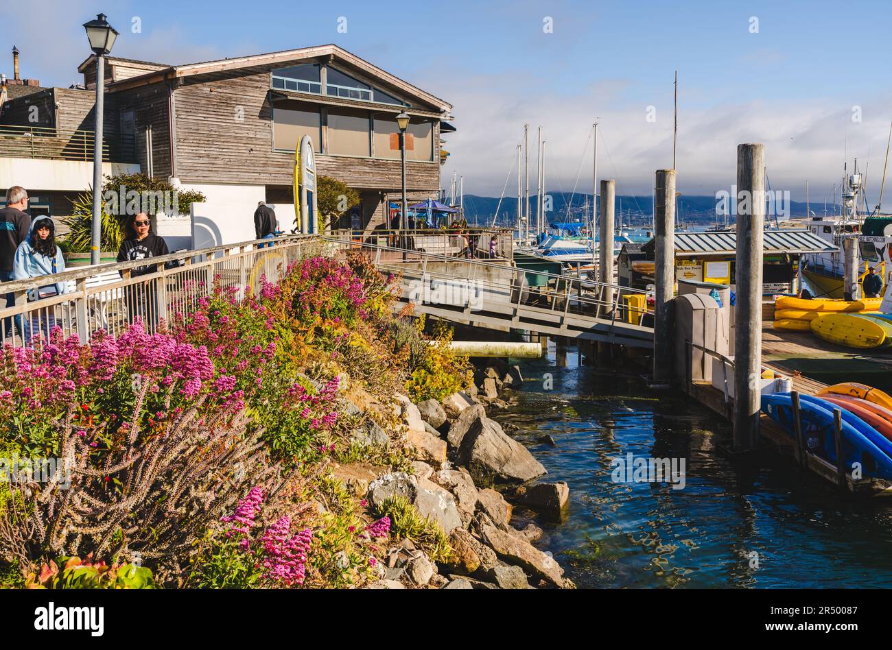 Morro Bay, California, USA - May 27, 2023. Boat rentals, Wale wathing ...