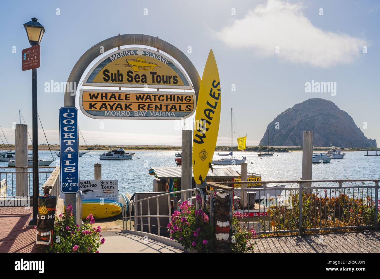 Morro Bay, California, USA - May 27, 2023. Boat rentals, Wale wathing ...